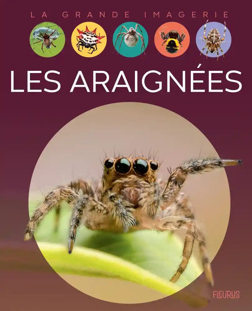 La grande imagerie - Les araignées – Il était une fois...