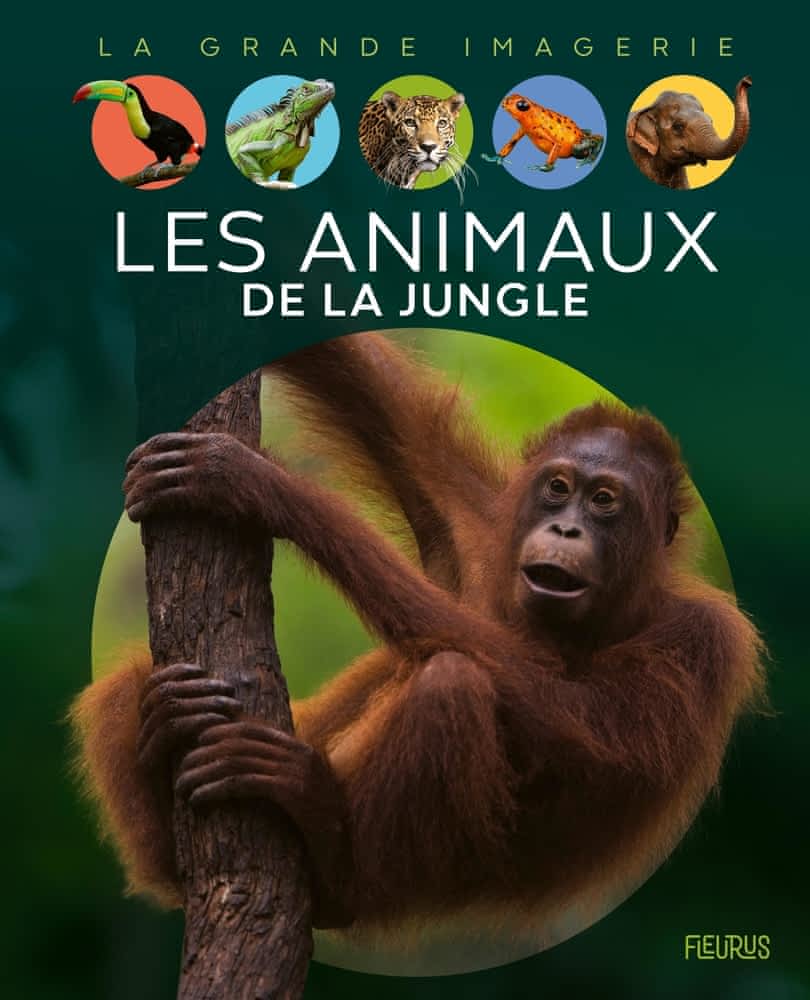 La grande imagerie - Les animaux de la jungle – Il était une fois...